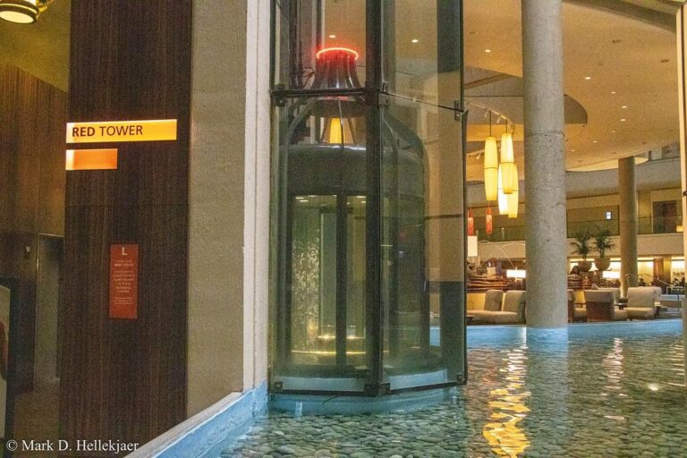 Arnold Schwarzenegger Shows Off Ripped Physique at 75: How He Maintains ...