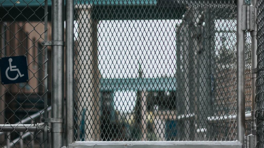 From Prison Cell to Fitness Icon: The Incredible Journey of Kali Muscle ...